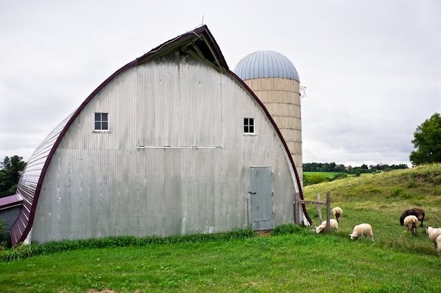 Lida Farm – Organic Vegetable Farm serving Detroit Lakes, Fergus Falls ...